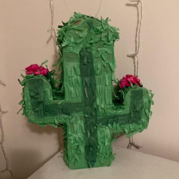 Target | Other | Cactus Piata | Poshmark